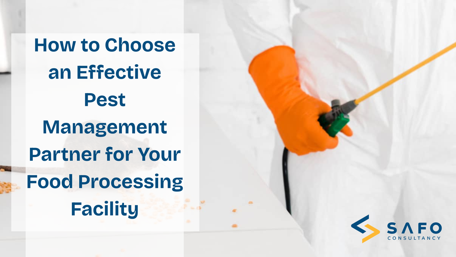 How to Choose an Effective Pest Management Partner for Your Food ...